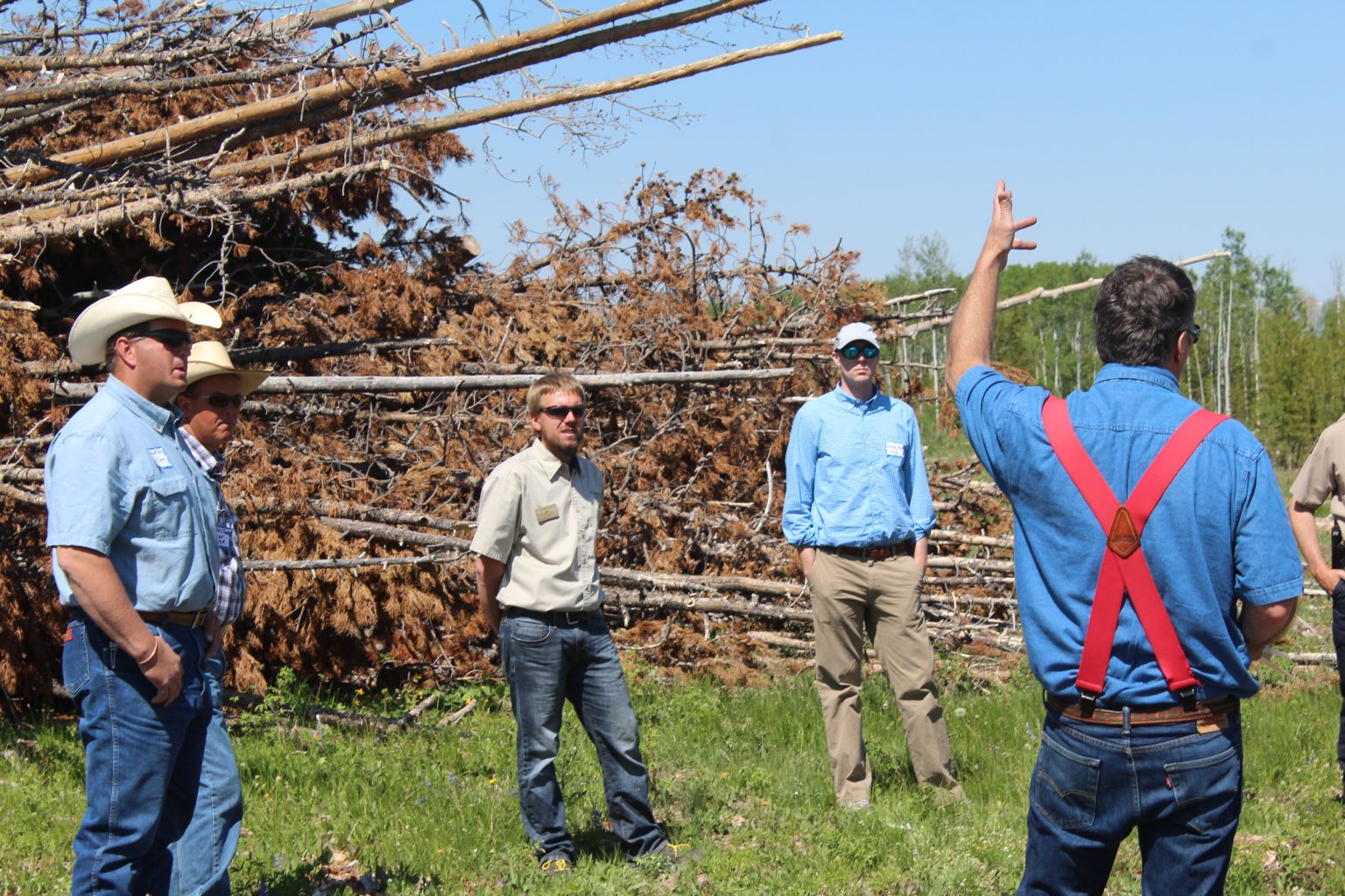 WLA partners with Colorado State Forest Service in New Tour Series ...