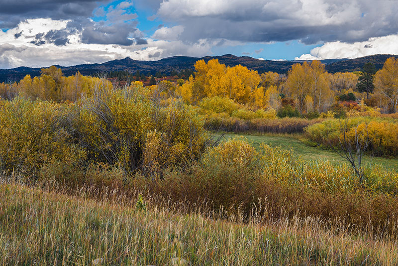Trout Stalker Ranch. – Western Landowners Alliance
