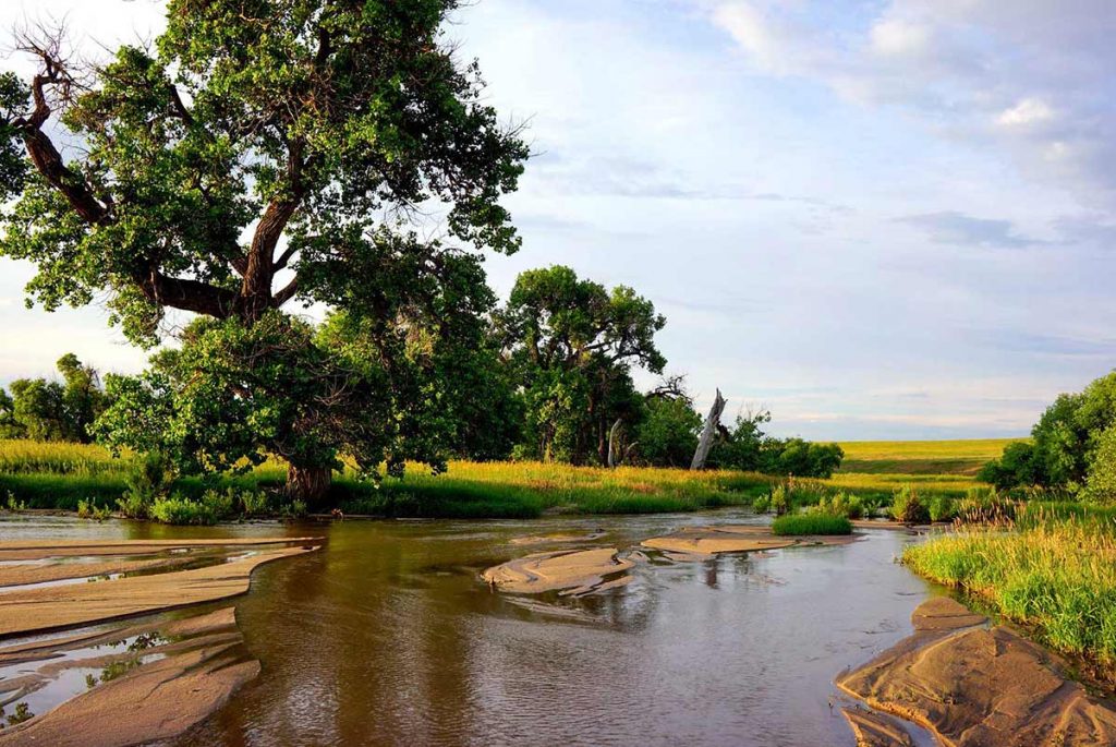 Profiles in Land and Management – Lowry Ranch – Western Landowners Alliance