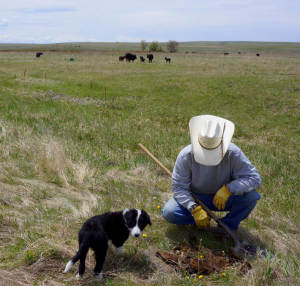 Profiles in Land and Management – Lowry Ranch – Western Landowners Alliance
