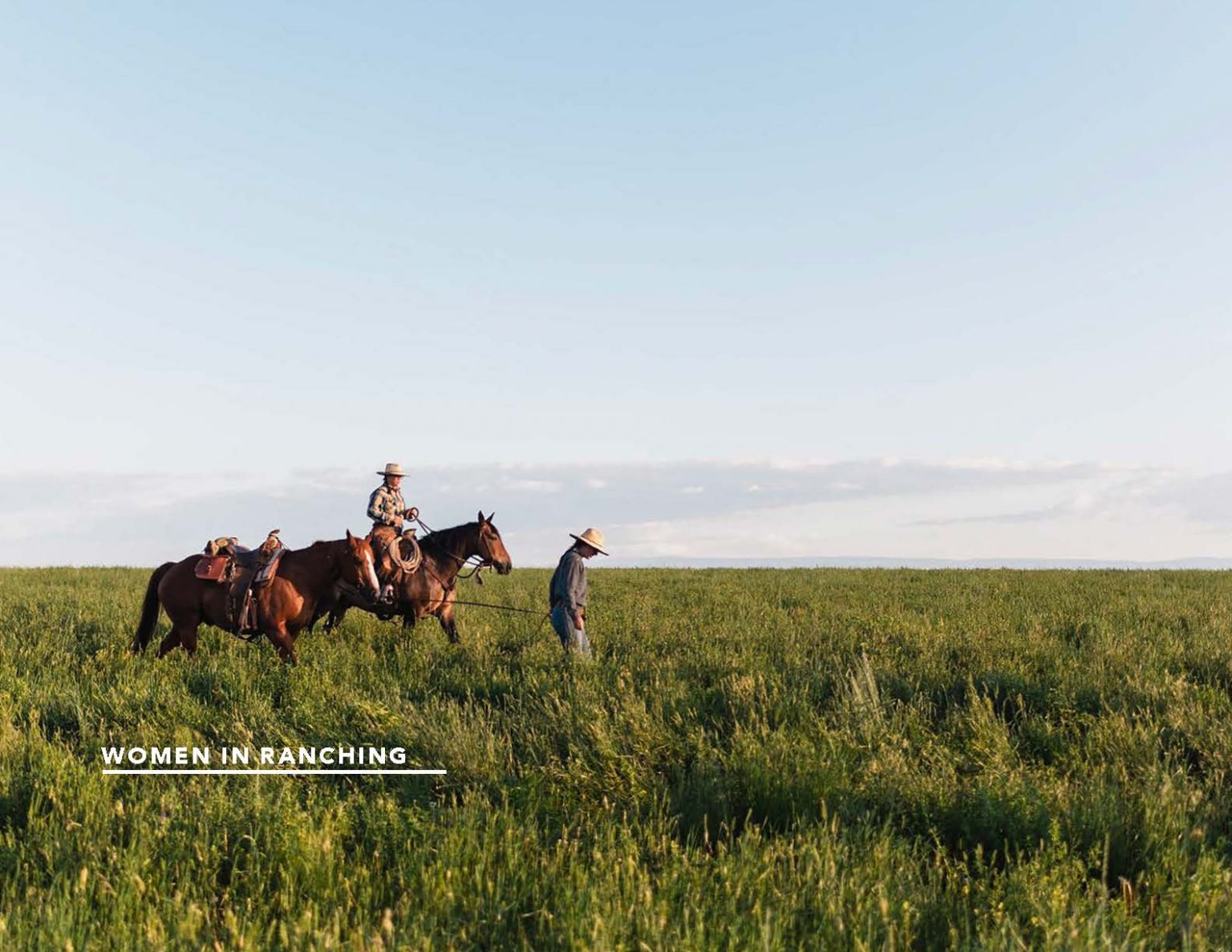 The Women in Ranching Story_Page_01 – Western Landowners Alliance