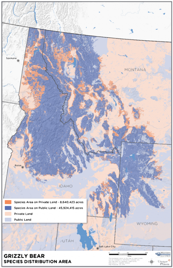 Grizzly Map – Western Landowners Alliance