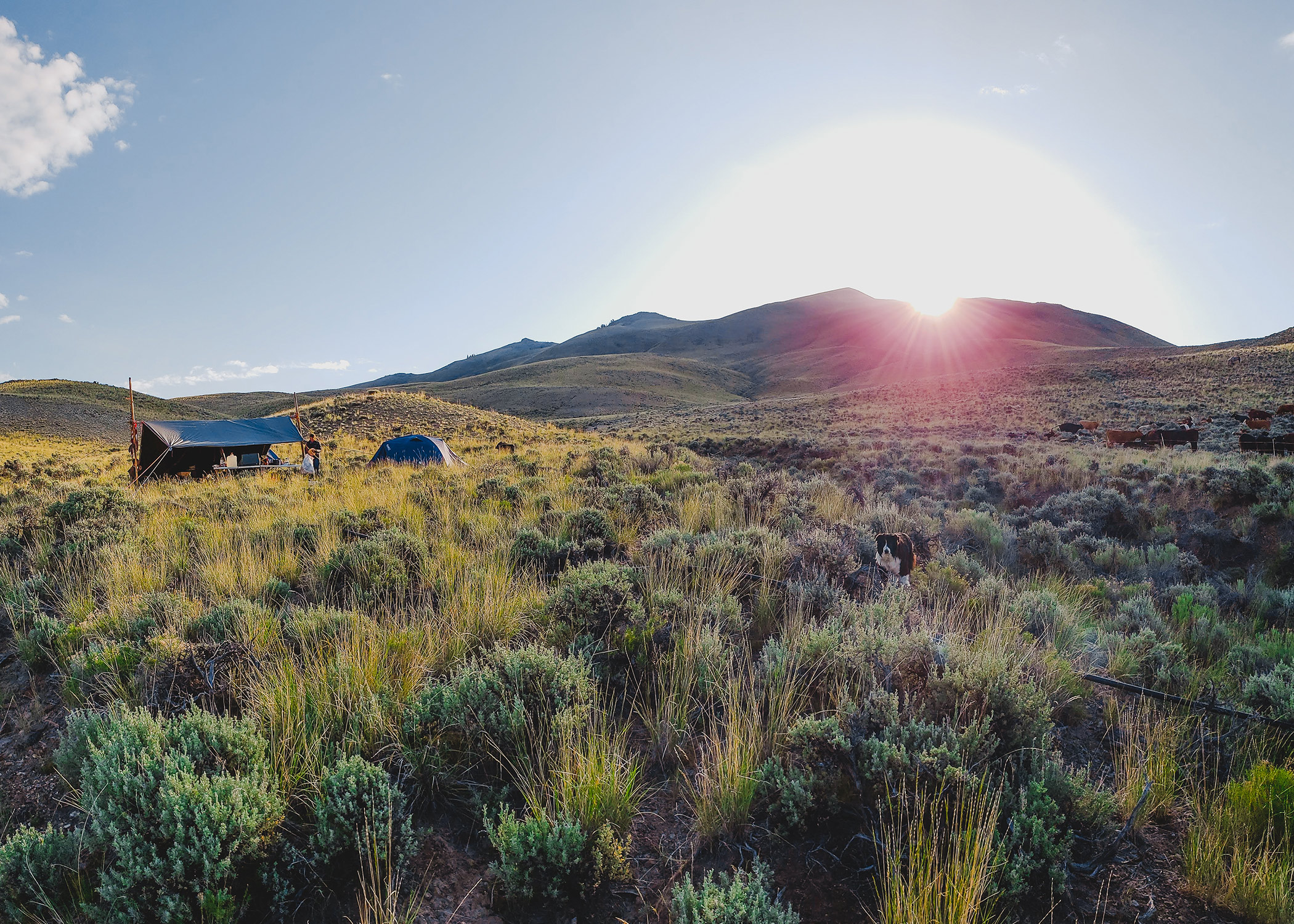 Working Wild Challenge – Western Landowners Alliance