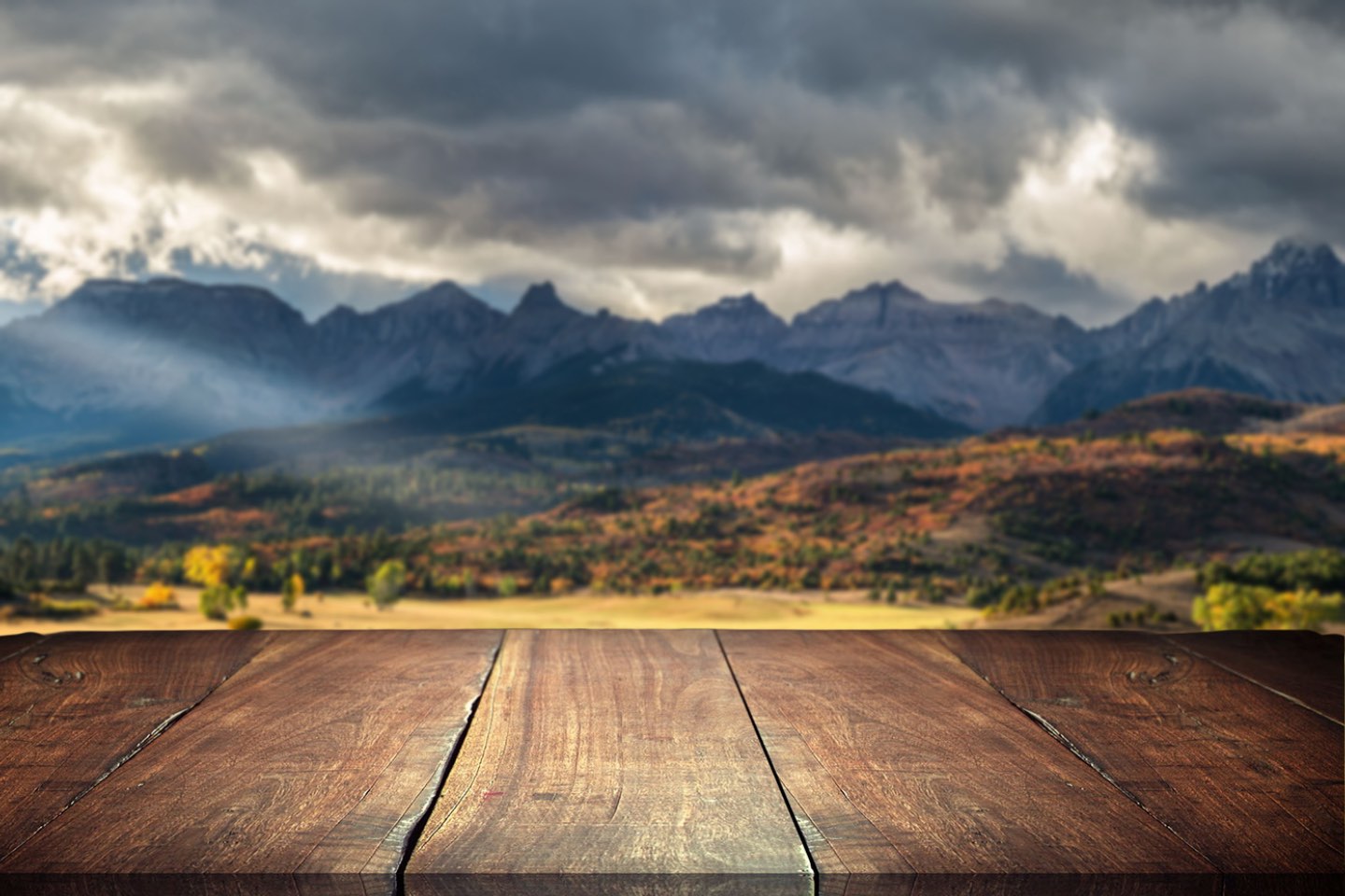 Our Board – Western Landowners Alliance